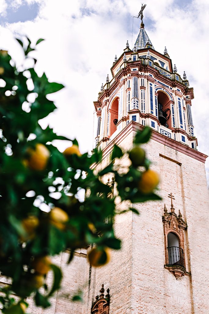 Aljarafe sevillano - Cocinando con mi Carmela: Fotografía Gastronómica